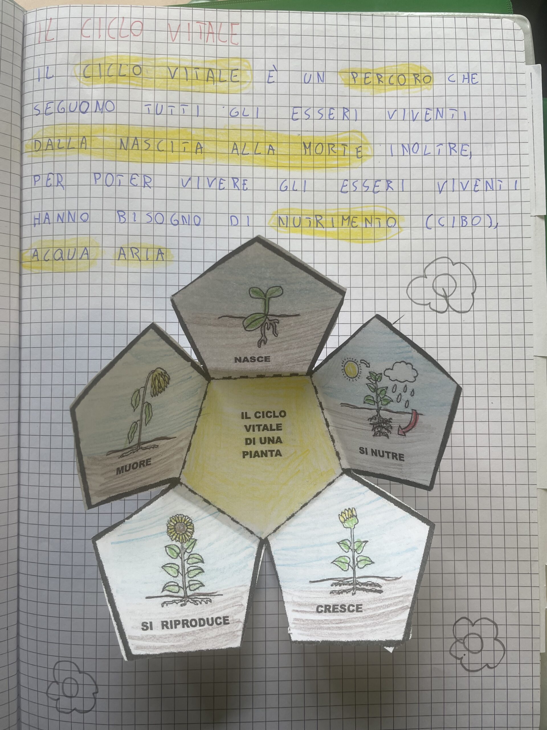IL CICLO VITALE | Blog di Maestra Mile